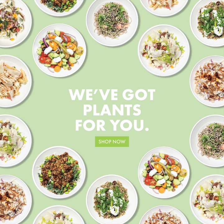 Catering Project | Best Caterer in Sydney & Melbourne